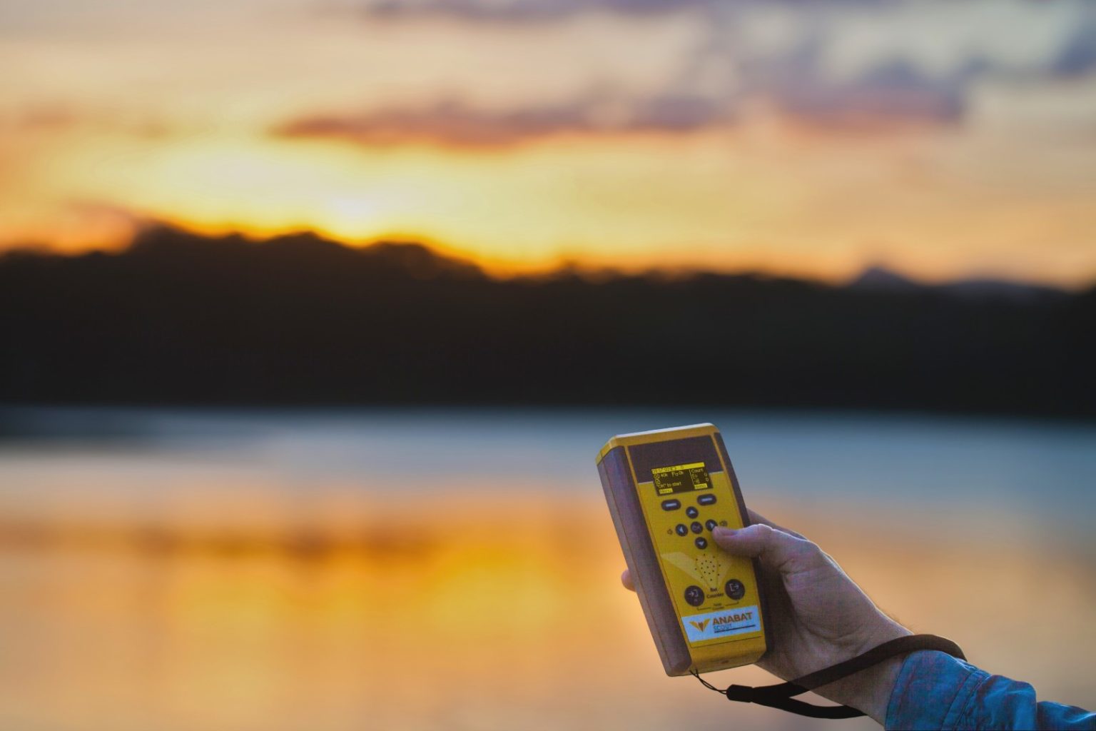 Anabat Scout | Full Spectrum Bat Detector for Active Monitoring