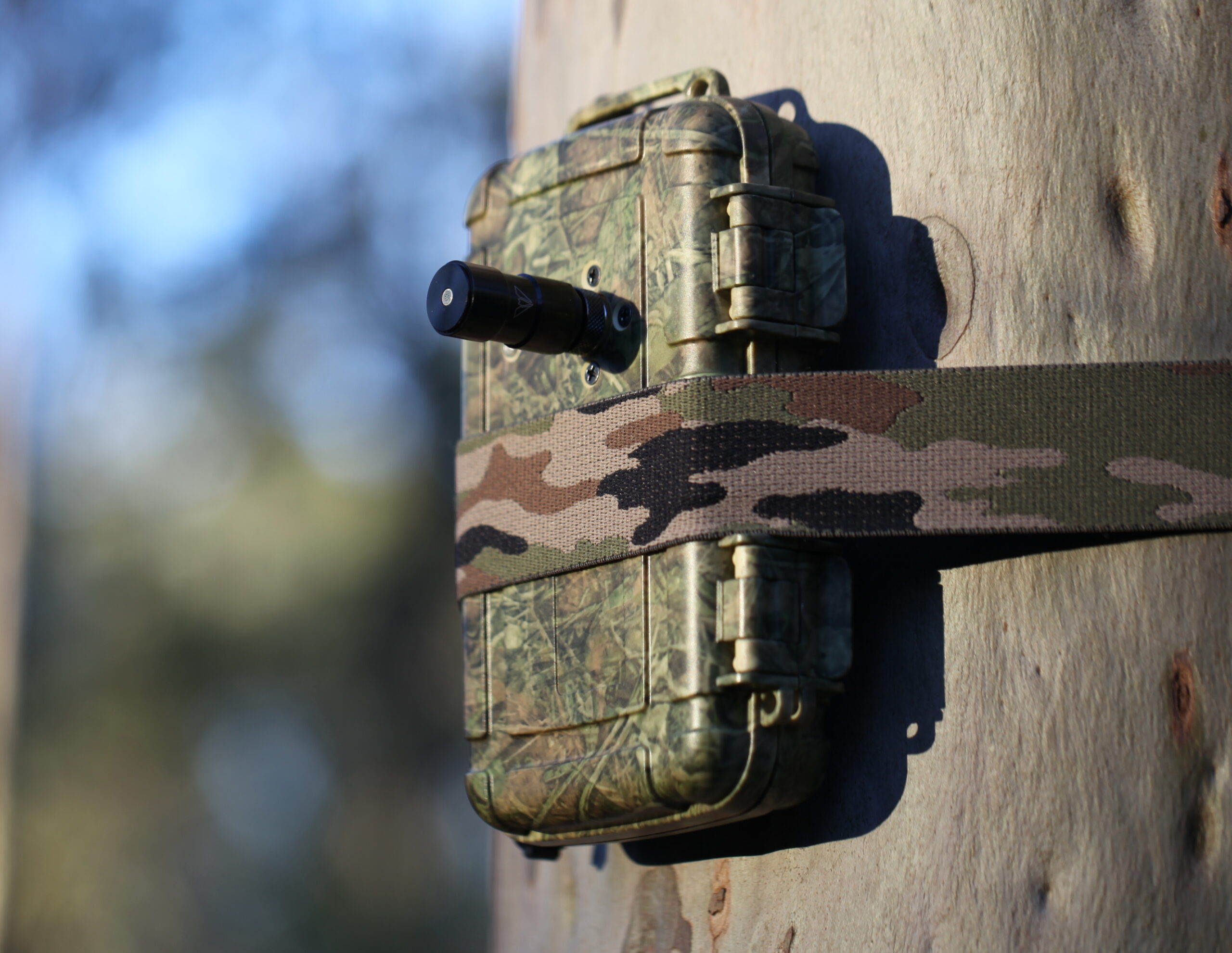 Microphone care & service