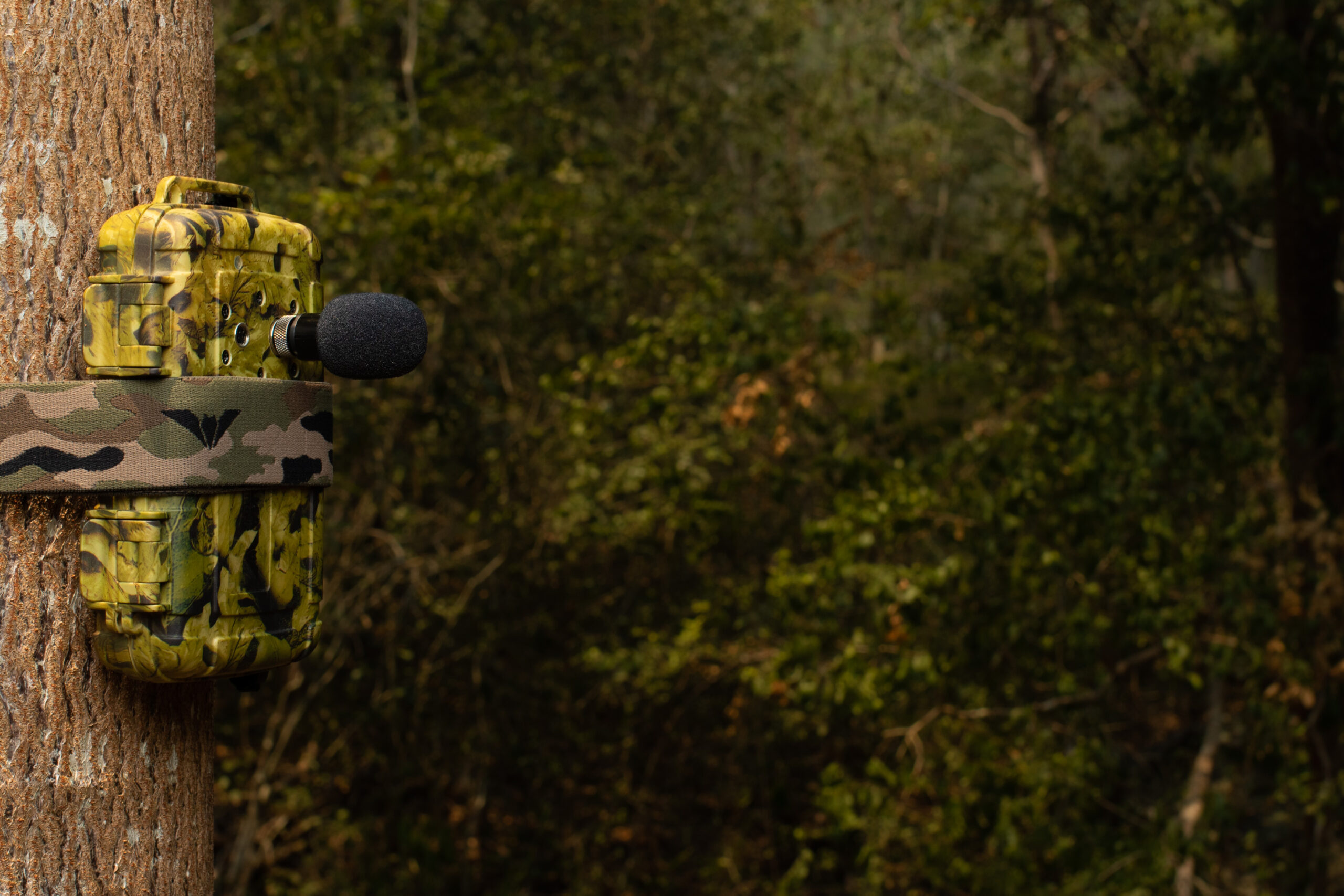 Acoustic Bird Surveys The Future Titley Scientific