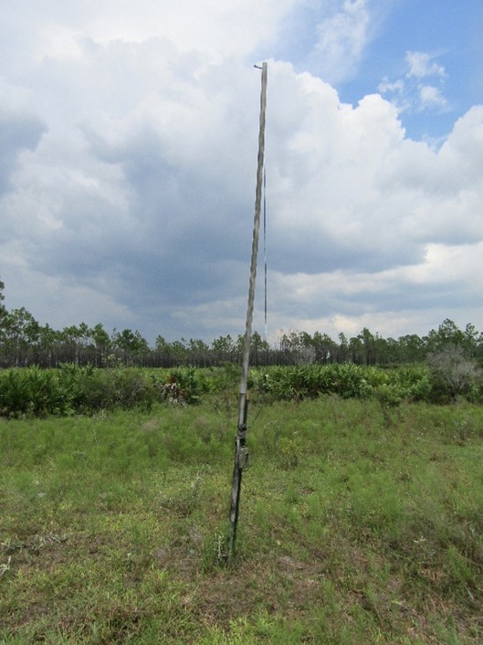 Artificial Roost Selection of the Florida Bonnetted Bat - Titley Scientific