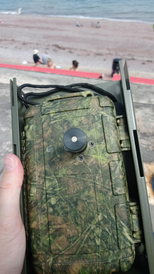 Bats and beaches - Titley Scientific