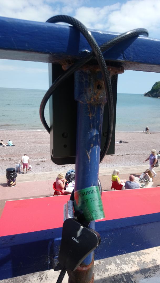 Bats and beaches - Titley Scientific