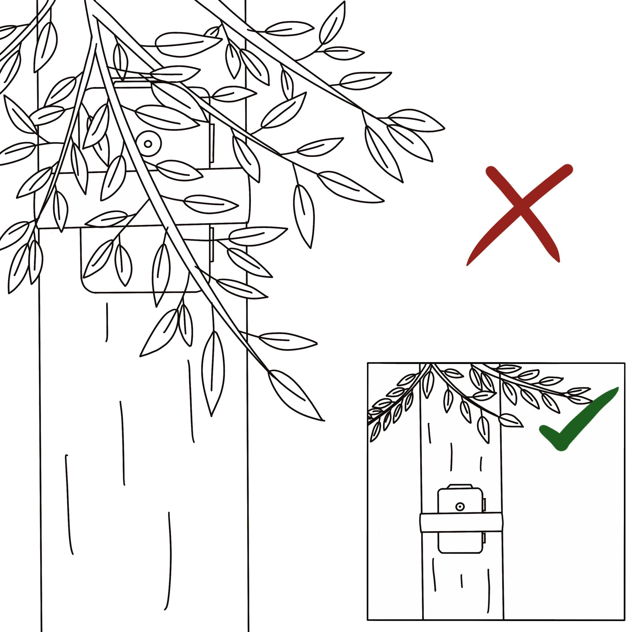 Bat Detector Deployment Guide | Best Practices