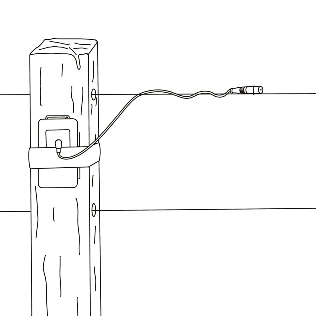 Bat Detector Deployment Guide | Best Practices