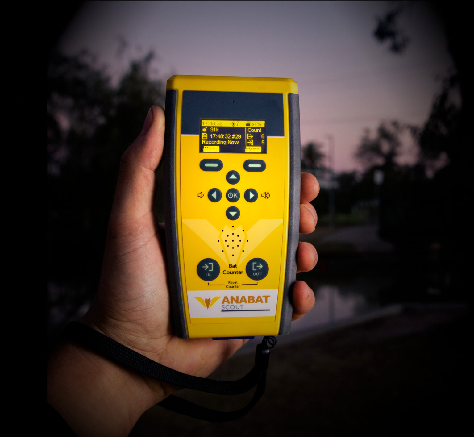 Anabat Scout | Full Spectrum Bat Detector for Active Monitoring