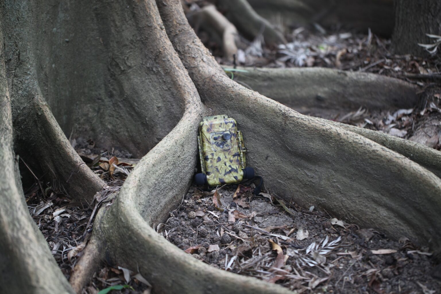 Ranger | Simultaneous Acoustic & Ultrasonic Wildlife Recorder