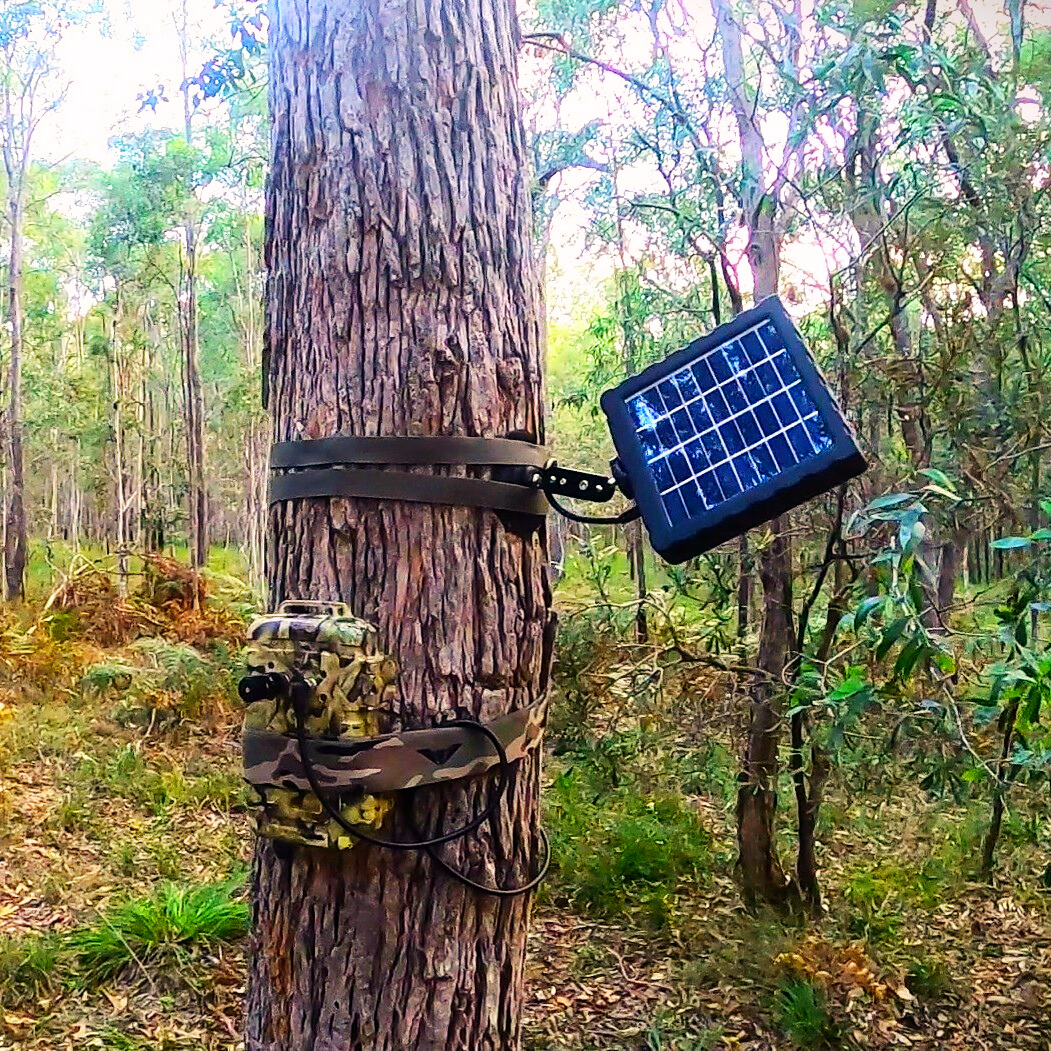 Solar Panel Kit for Ranger & Swift | Power for Long-Term Deployments